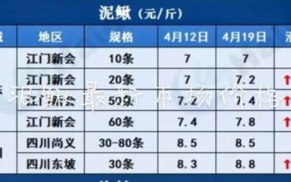 泥鳅市场价多少钱一斤_泥鳅价格行情2024