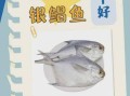 金鲳鱼与银鲳鱼哪个好_口感营养价格全面对比