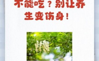 红槐花可以吃吗_红槐花食用方法