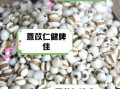 薏苡仁的功效与作用_薏苡仁主治哪些疾病
