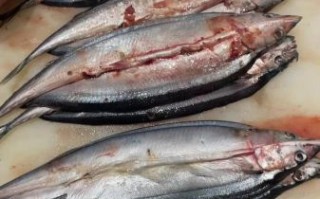 秋刀鱼的滋味是什么味道_秋刀鱼为什么有苦味