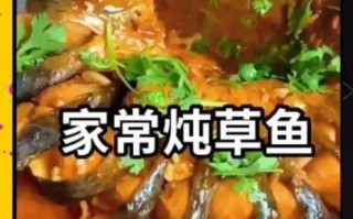 黄焖草鱼怎么做才入味_草鱼去腥技巧