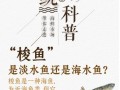 梭边鱼是什么鱼_梭边鱼有刺吗