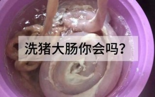 猪大肠怎么洗干净又没臭味_猪大肠去腥技巧
