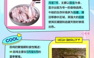 田鸡是什么东西_田鸡和牛蛙的区别