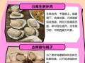 牡蛎肉怎么清洗内脏_牡蛎内脏清理图解