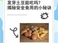 土豆刚发小芽还能吃吗_土豆发芽怎么处理