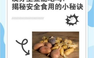土豆刚发小芽还能吃吗_土豆发芽怎么处理