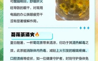 野菊花茶的功效与作用_野菊花茶的禁忌有哪些