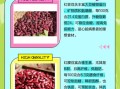红腰豆和红芸豆的区别_哪个更适合做炖菜