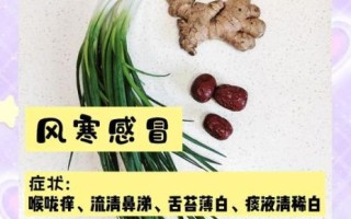 感冒吃什么食疗好_风寒风热怎么区分