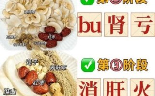 食疗补肾最快的方法_肾虚吃什么好得快