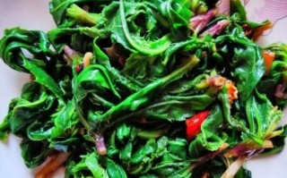 刺儿菜怎么吃对肝好_刺儿菜护肝食谱