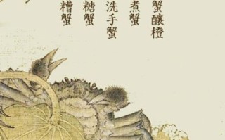 第一个吃螃蟹的人是什么意思_如何成为吃螃蟹的人