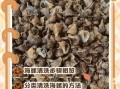 海螺怎么吃_海螺清洗方法