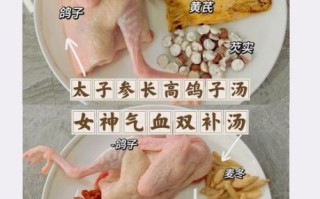 鸽子汤怎么煲_鸽子汤用什么材料最补