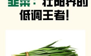 韭菜壮阳吗_韭菜补肾是真的吗