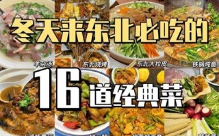 东北菜菜谱大全_东北家常菜怎么做