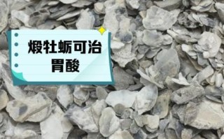 牡蛎的功效与作用_牡蛎怎么吃最补肾壮阳