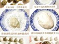 汤圆怎么煮不破_汤圆制作方法最简单