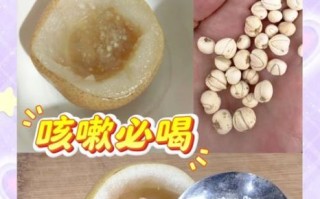 雪梨冰糖川贝的功效_川贝炖雪梨适合什么人