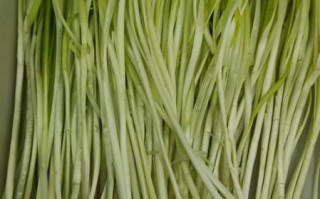 韭黄是什么季节的蔬菜_韭黄几月份吃最好