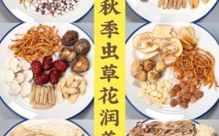 秋天吃什么对身体好_秋季养生食谱推荐