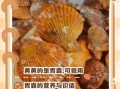 扇贝热量高吗_减肥能吃扇贝吗