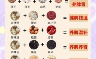 春季吃什么好_春季养生食谱推荐