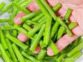 炒豆角焯水几分钟_豆角焯水后怎么炒才翠绿