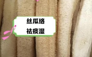 丝瓜根熬水喝有什么作用_丝瓜根煮水的功效与禁忌