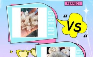 血燕是什么_血燕和洞燕区别