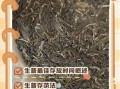 生普洱存放几年最好喝_生普最佳品饮期