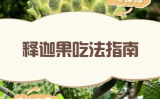 释迦怎么吃_释迦的正确吃法图解