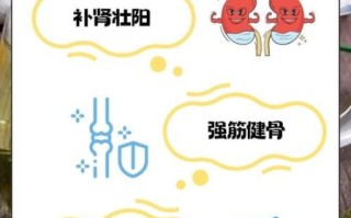 霪羊藿和枸杞子泡水喝的功效与禁忌_怎么喝才不上火