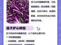 茄子营养价值高吗_茄子功效与作用有哪些