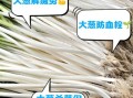 生吃大葱的好处和坏处有哪些_生吃大葱会上火吗