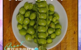 青豆怎么保存_青豆可以放冰箱冷冻吗