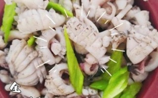 新鲜乌贼怎么做好吃_乌贼清洗去腥技巧