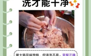 红烧猪大肠怎么清洗_红烧猪大肠怎么做才好吃