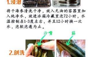 家常海参怎么做_海参怎么泡发才软糯