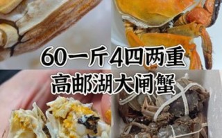 大闸蟹多少钱一斤_正宗阳澄湖价格表