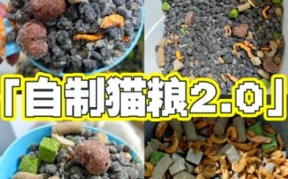 自制猫粮的简单做法_猫咪吃自制粮安全吗