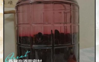 桑葚怎么洗干净泡酒_桑葚泡酒前要不要晾干