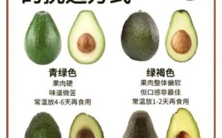 月经期吃牛油果好吗_牛油果对月经的好处