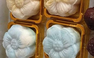 冰皮月饼怎么保存_冰皮月饼保质期多久