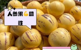 人参果一天吃几个合适_人参果的功效与作用