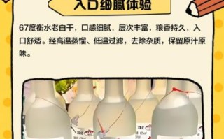 衡水老白干67度多少钱一瓶_衡水老白干67度价格表2024