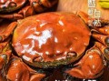 阳澄湖大闸蟹怎么煮_阳澄湖大闸蟹煮多久