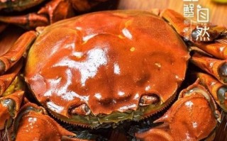 阳澄湖大闸蟹怎么煮_阳澄湖大闸蟹煮多久